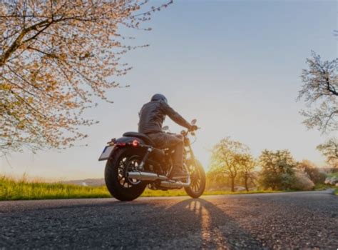 Bilder Von Karl Ivan