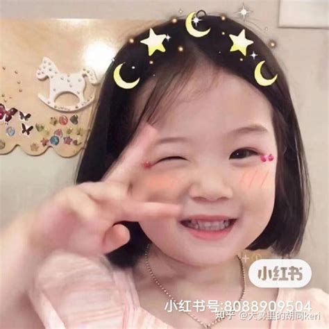 专升本大几开始备考最佳？（下篇） 知乎