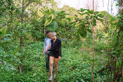 행복 젊은 여자는 햇빛과 숲에서 산책하는 동안 그녀의 남자 친구와 함께 손을 잡고 공원에서 손을 잡고 초원을 걷는 커플 관계 개념입니다 20 24세에 대한 스톡 사진 및