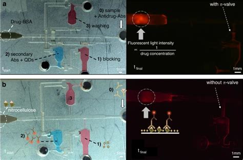 Microfluidics For Biosensing With Additive Manufacturing Microtech Lab