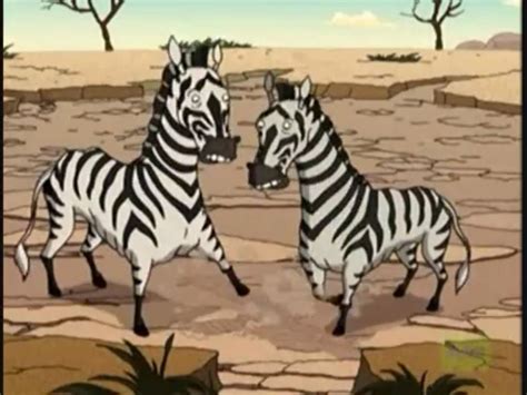 Plains Zebra Wild Thornberrys Wiki Fandom Powered By Wikia