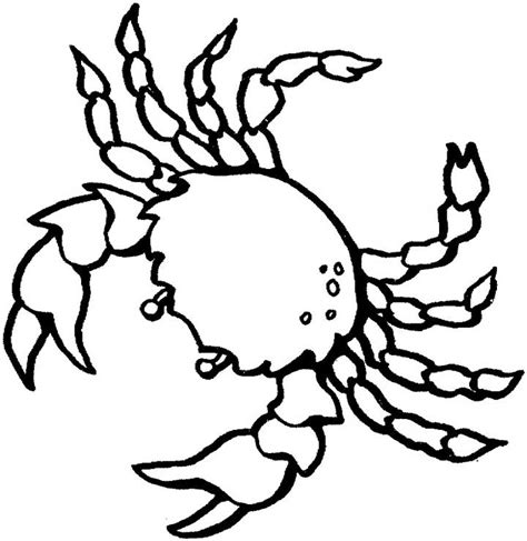 Mud Crab Coloring Coloring Pages