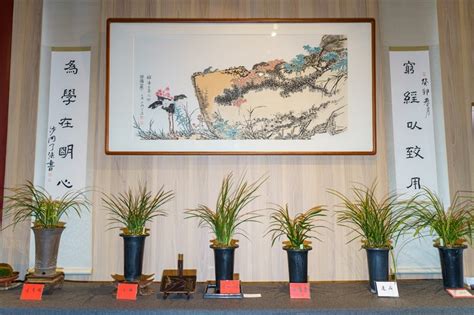 雁荡山能仁寺素心“之江同心·瓯越兰馨”温州美丽寺院建设暨兰花展开幕圆满 — 大菩文化