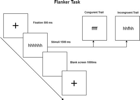 Flanker Task Stimulus Illustration Presented On 156 Inches Laptop