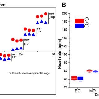 Graphs Showing Sex Specific Differences In Average Heart Rate With Download Scientific Diagram
