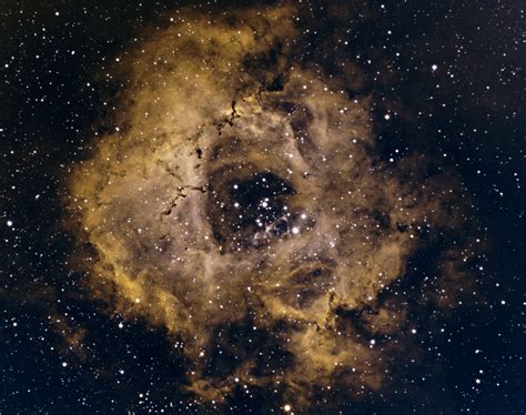 Image Members Album Stargazers Lounge