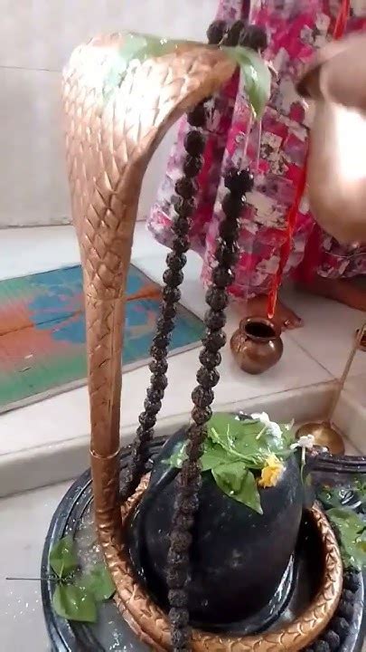 हर हर महादेव शिवजी Youtube