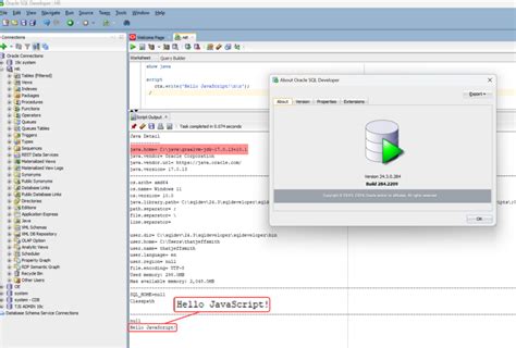 Oracle Sql Developer And Data Modeler 243 Are Now Available