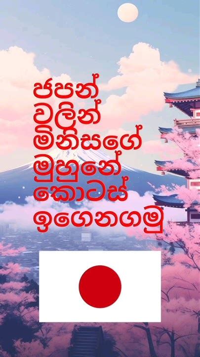 ජපන් වලින් මුහුනේ කොටස් ඉගෙනගමු 🇯🇵👦 Japan Face Words Jsnihongono