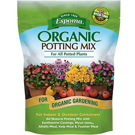 Guide To Basic Care Of Houseplants Gardeners Path
