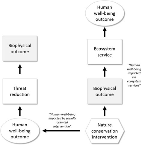 Conceptual Model Illustrating Direct And Indirect Relationships Between