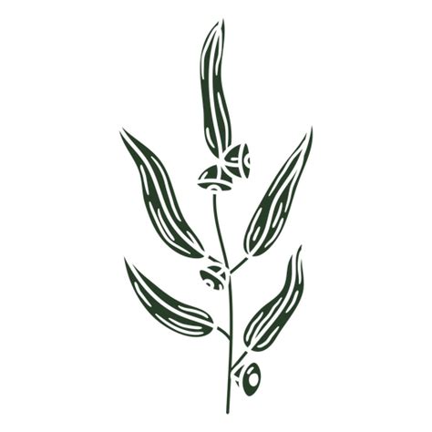 Design Png E Svg De Planta Com Folhas Cortadas Para Camisetas