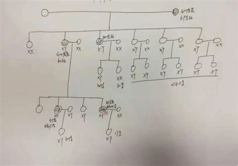 让罕见病被看见⑤：罕见遗传致命“舞蹈症” 你不知道的亨廷顿病 症状 绵阳 疾病