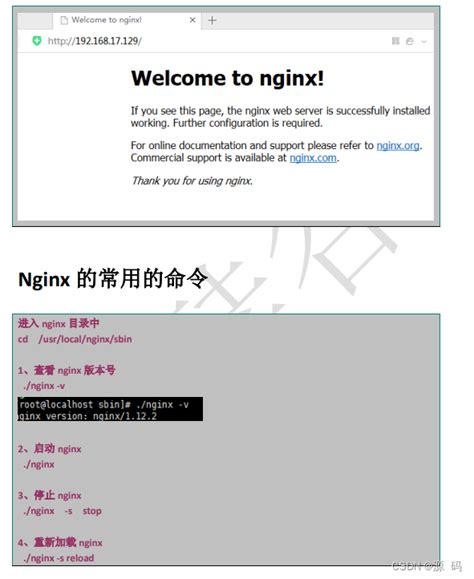 Nginx 反向代理 负载均衡 动静分离 高可用集群 详解nginx反向代理高可用集群 Csdn博客