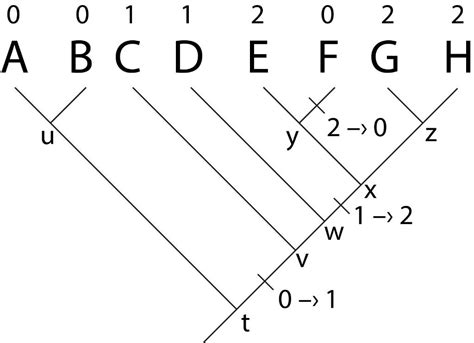 Solved Given The Tree Above Can Character 2 Be Used