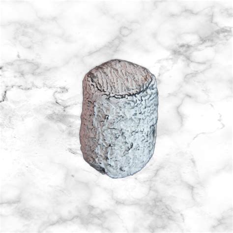 Chabis Blanc Cheese Goats Milk 200g The Artisan Food Co