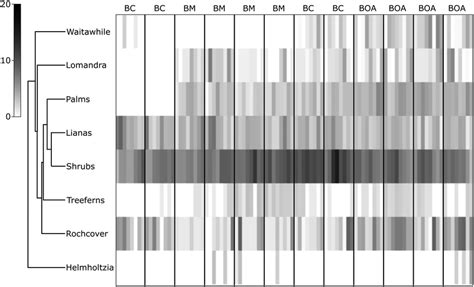 Shade Plot Dendrogram Indicating The Relative Contribution By Abundance