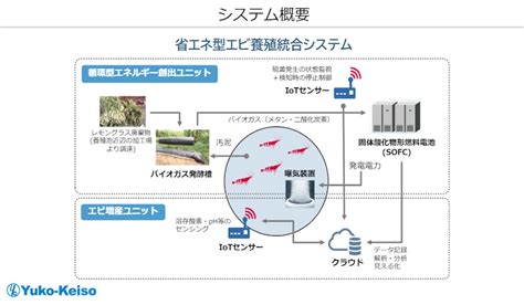 汚泥から得たエネルギーとiot活用でエビ養殖 ベトナムで産学連携の実証実験 Cnet Japan