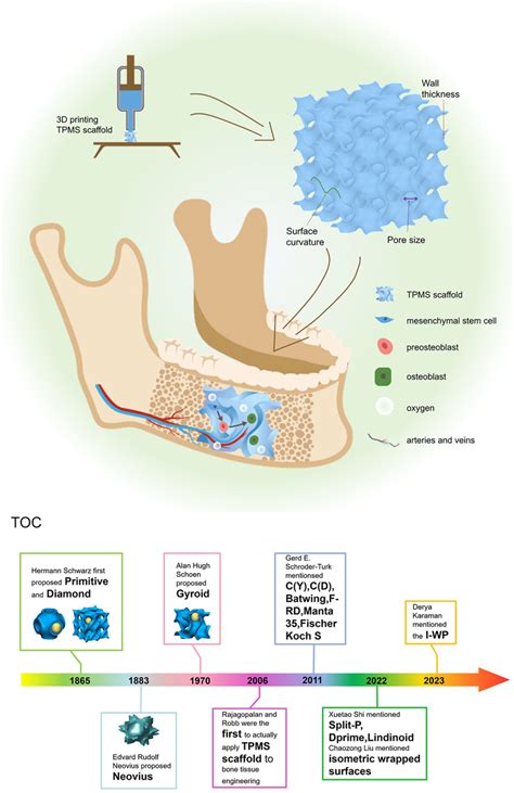 A Brief Timeline Of The Development Of Tpms Structures For 3d Printing Download Scientific