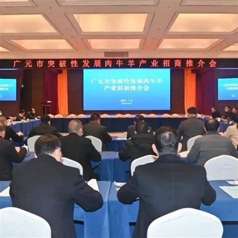 我市召开突破性发展肉牛羊产业招商推介会 现场签约肉牛羊项目14个 总投资166亿元广元蔡邦银农业