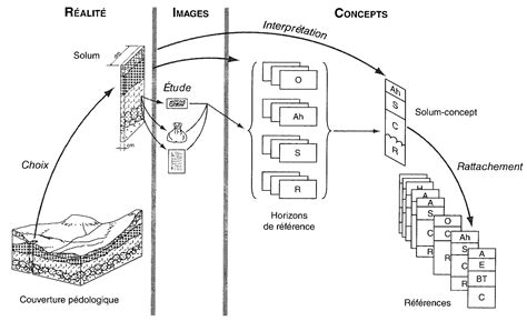 Solum — Les Mots De Lagronomie