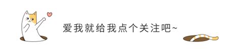 新书《计算机视觉从入门到进阶实战：基于pytorch》 Csdn博客