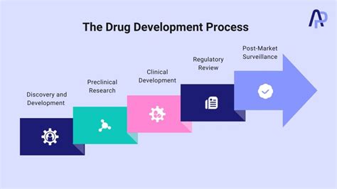 The Drug Development Process Meaning And Main Phases Explained