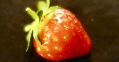 Strawberry Album On Imgur