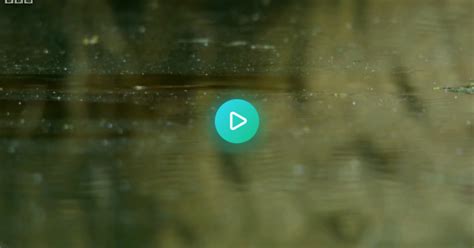 My First Cinemagraph Album On Imgur