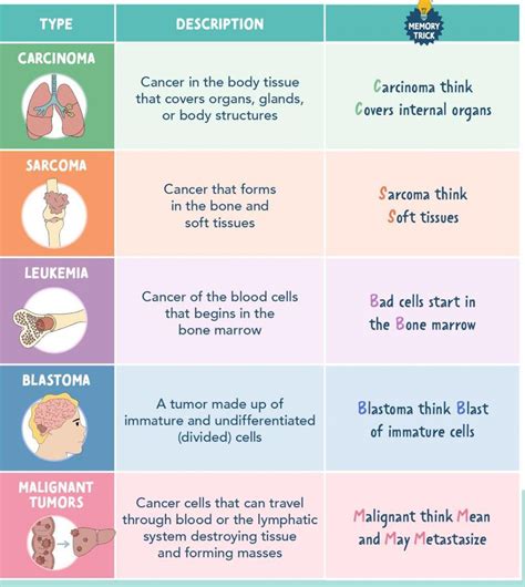 Types Of Cancer Medizzy