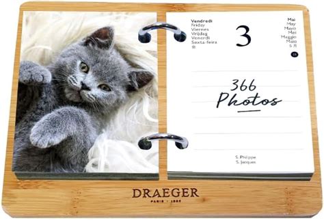 Amazon ドレジャー 2025年 365日日めくりカレンダー Cats 猫 動物 Boxセット 卓上 カラー写真 祝日シール付き