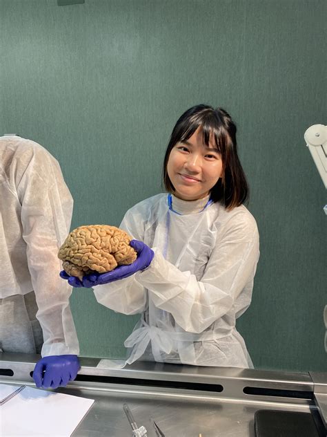 research in spatial cognition risc understanding spatial learning