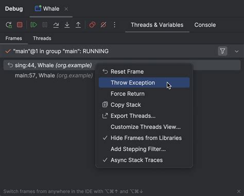 Alter The Programs Execution Flow Intellij Idea Documentation