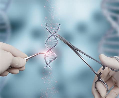 Japanese Researchers Introduce A Novel Gene Editing Technique Crop Biotech Update September 20