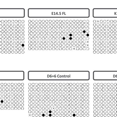 Bisulfite Analysis Of Proximal Runx1 Promoter A Methylation Patterns Download Scientific