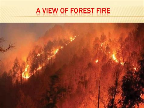 Lecture Note On Forest Fire Ppt