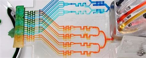 Microfluidics Applications In Space Biology Research An Overview The Average Scientist