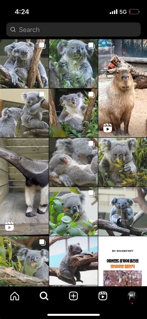 Nerdjpeg — Magazine Nerd