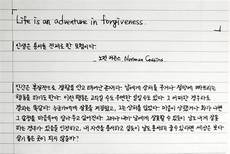 아무튼 필사 110 365 매일 읽는 긍정의 한 줄 용서 필사하기 좋은 문장과 글귀