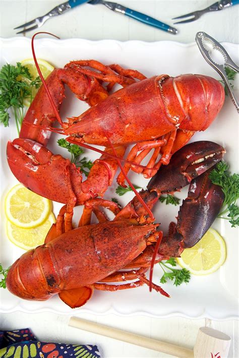 Can you keep cooked lobster in the shell? [2025] | QAQooking.wiki