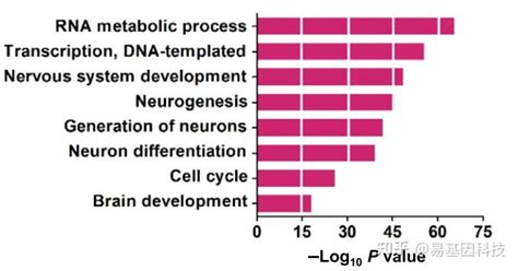 易基因｜m6a Rna甲基化研究的数据挖掘思路：干货系列 知乎
