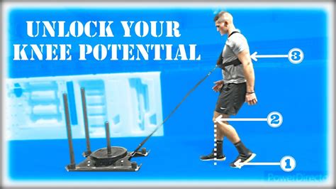 How To Reverse Sled Pull Youtube