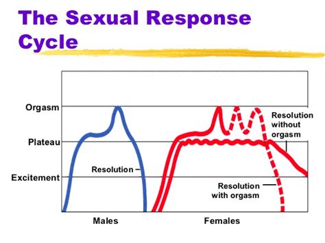 Sexual Disorders The Pelvicure Center Dr Hamod