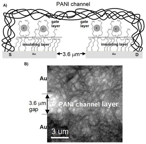 A Nanodetector Made Of Polyaniline Nanofibers Resembles An Open Gate