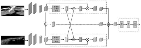 一种基于多模态医学图像的模态融合方法及装置与流程