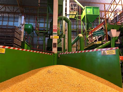 The Presentation Of The Corn Seed Production Process Model Kx 1