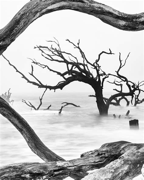 Jekyll Island Casey Finn Photos