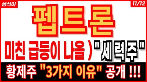 펩트론 미친 급등이 나올 세 력 주 🔥 황제주 3가지 이유 공개 제약바이오 바이오주 비만치료제 관련주 주가 주가전망 목표가 대응방법 급등주 삼식이
