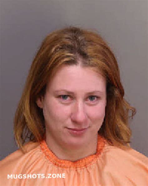 WELLS MEGAN LEIGH Florence County Mugshots Zone