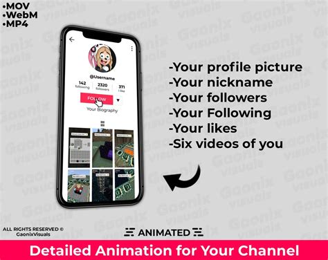 Custom Animated Overlay With Integrated Special Effects To Enhance The Visual Quality Of Your